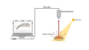 About - Soil Spectroscopy for Global Good